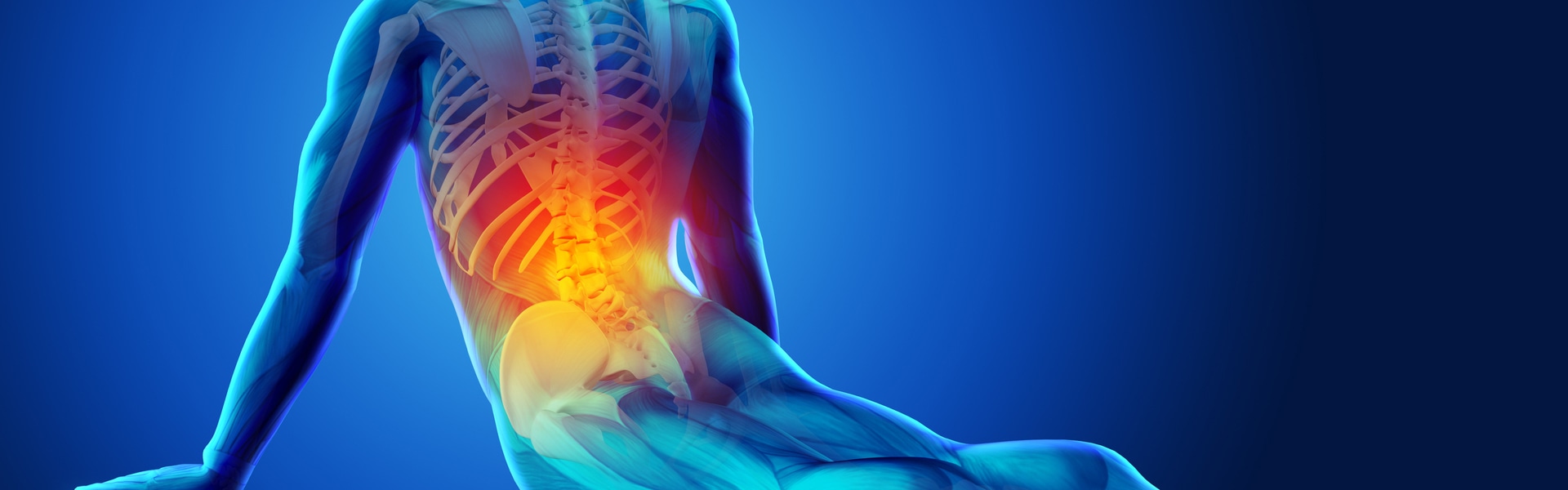 Combat Arts Lower Back Injuries Overview