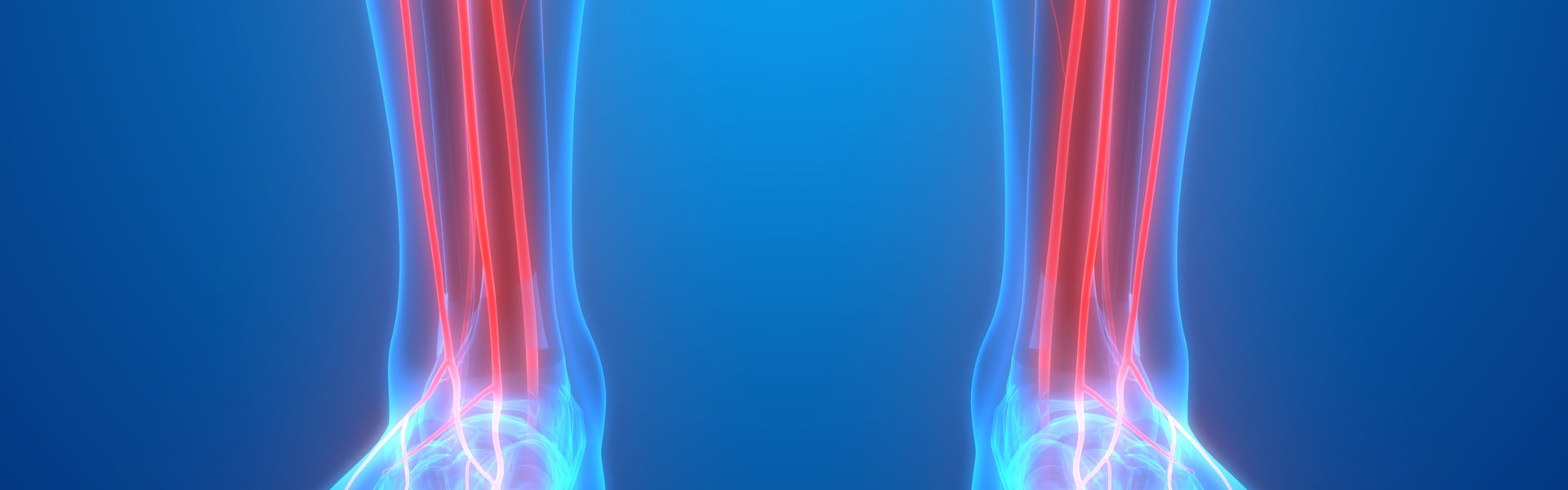 Combat Arts Shin Injuries Overview